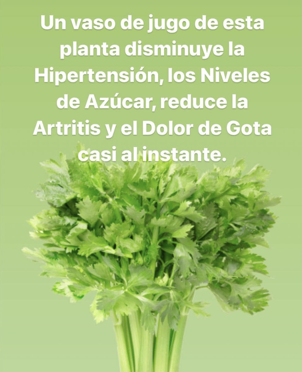 10 razones por la que deberias tomar te de apio - Leonor's Dreams